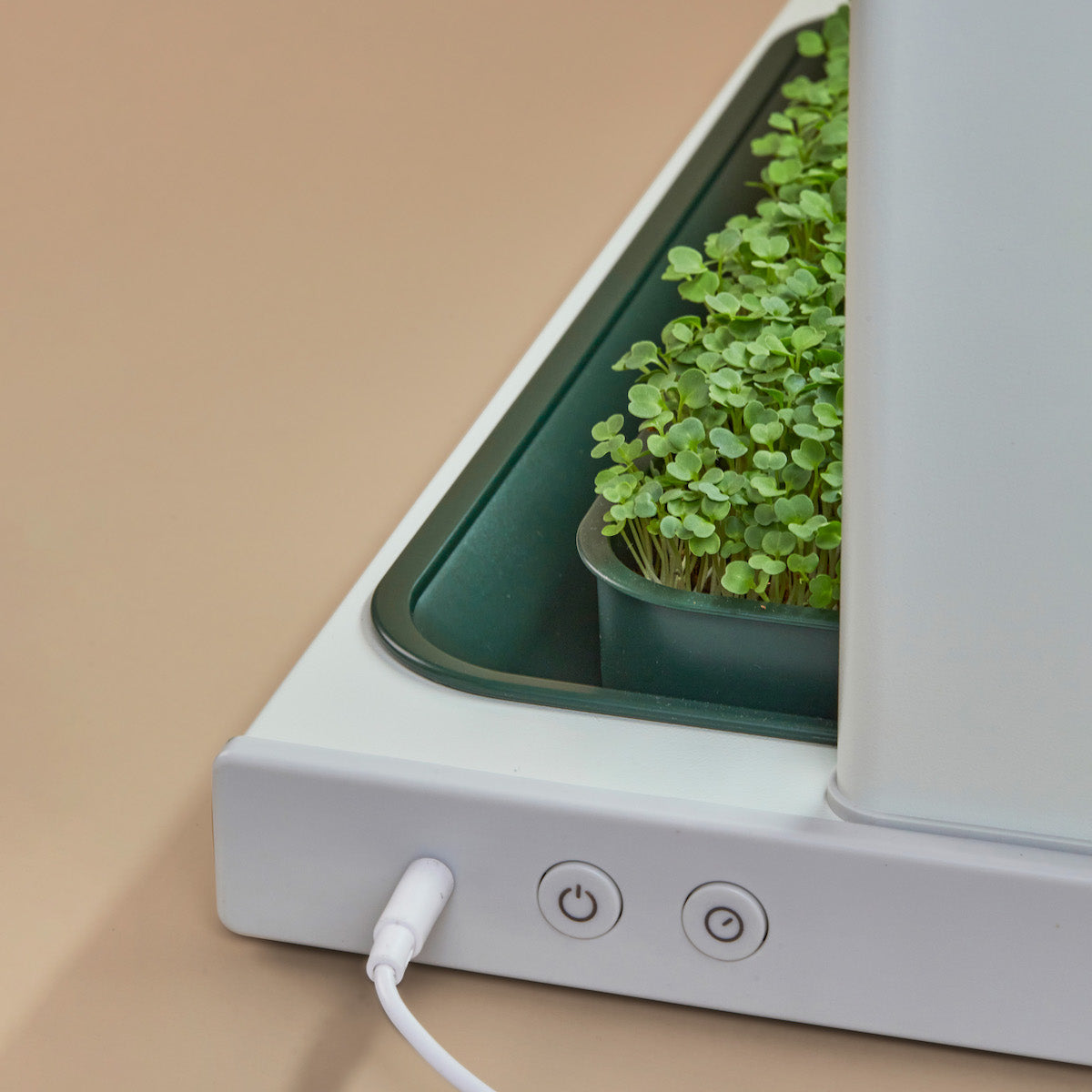 The Fieldhouse | Grow Nutrient Dense Micro Greens - Leath